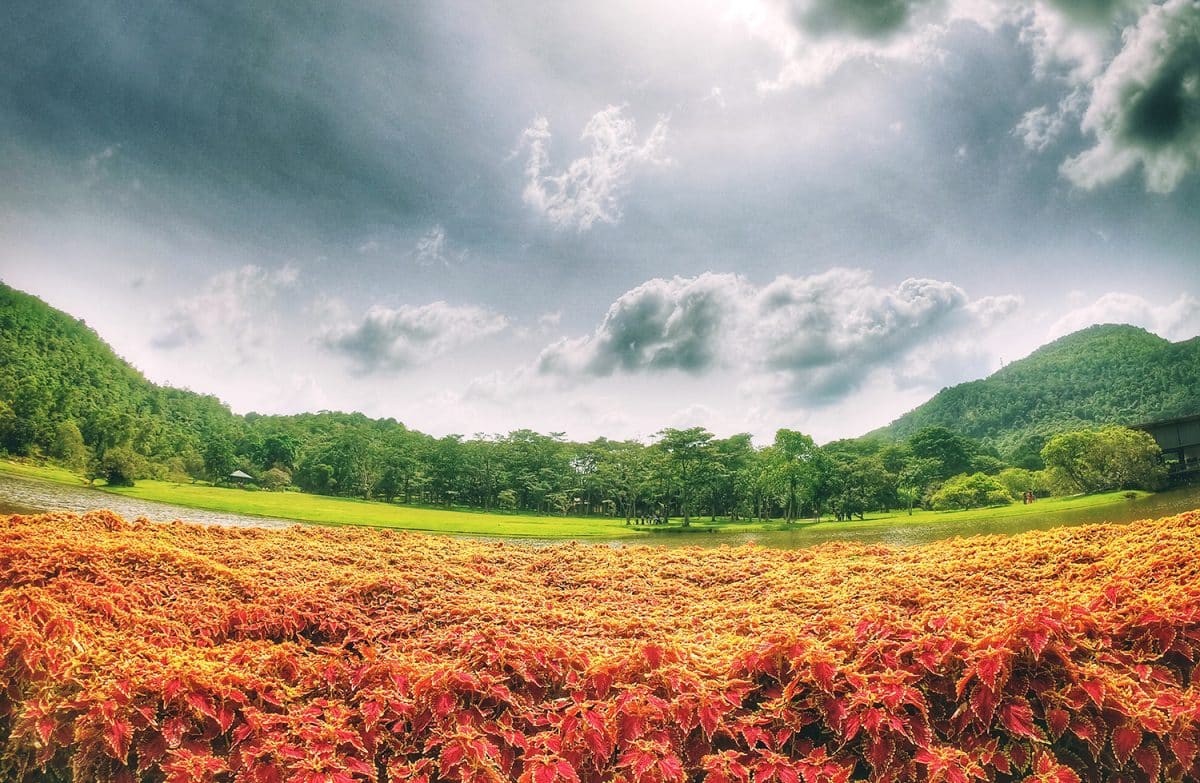 Seethawaka Wet Zone Botanical Garden – Lahiru Mayadunna