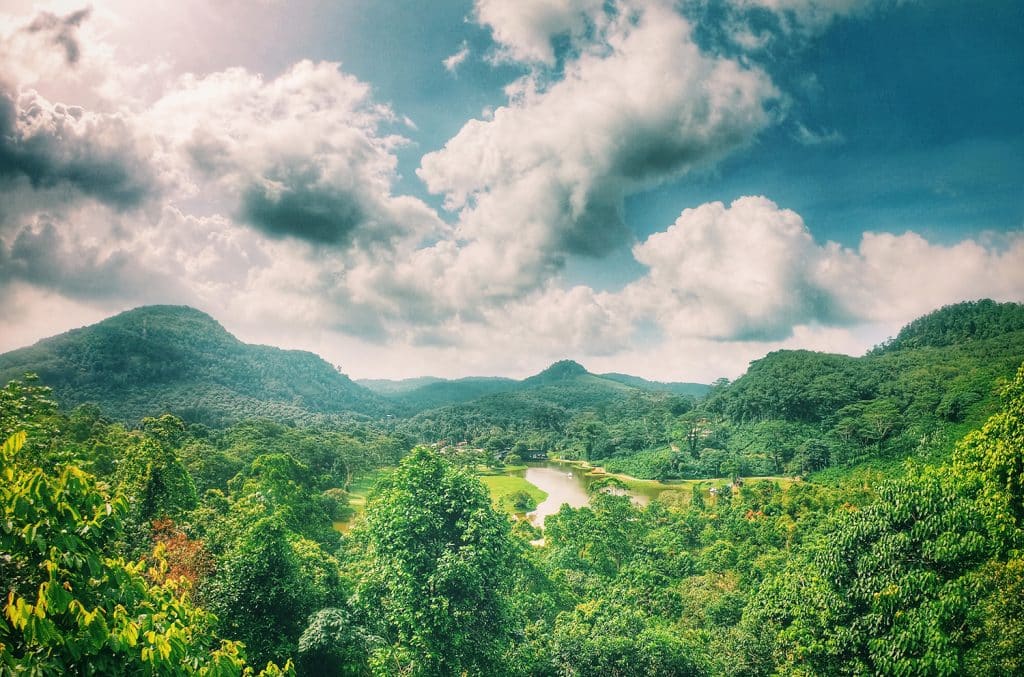 Seethawaka Wet Zone Botanical Garden – Lahiru Mayadunna